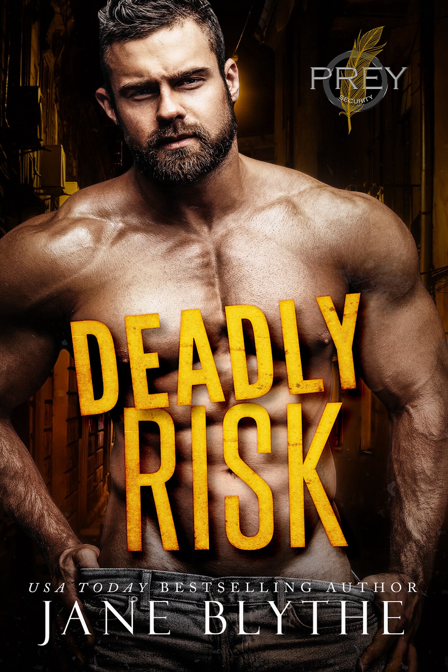 Deadly Risk – Jane Blythe – USA Today Bestselling Author